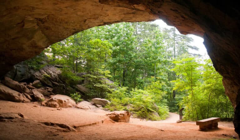 Cities Of The Ozarks - Into The Ozarks