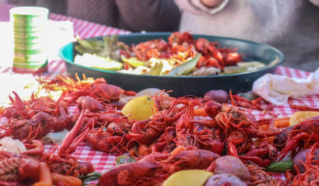 Catching Crawfish At Lake Of The Ozarks - Complete Guide