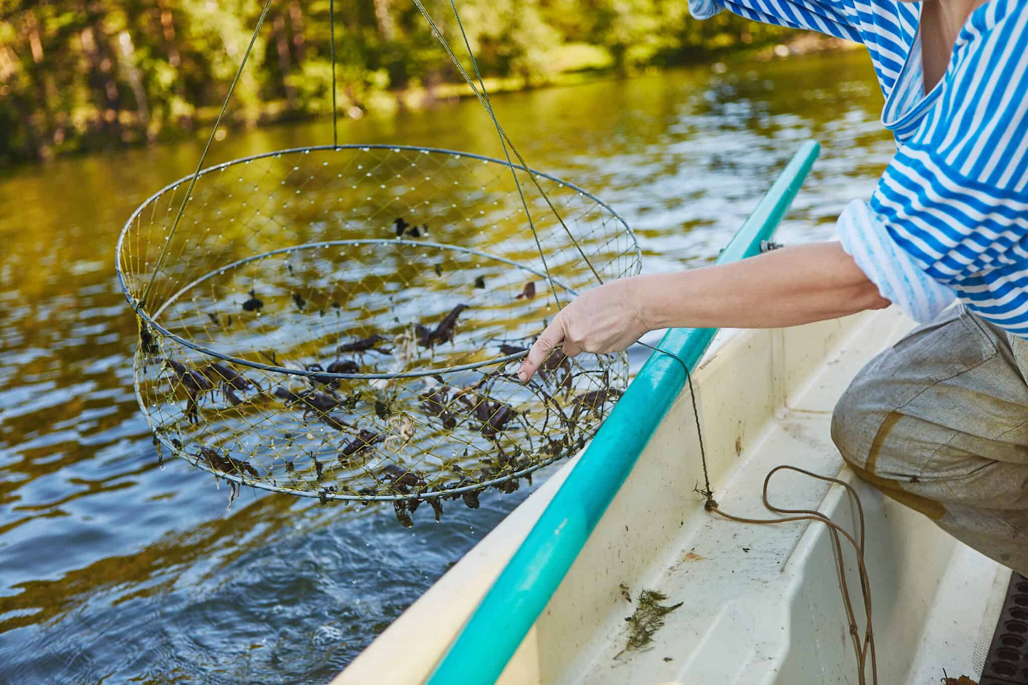 Catching Crawfish At Lake Of The Ozarks - Complete Guide