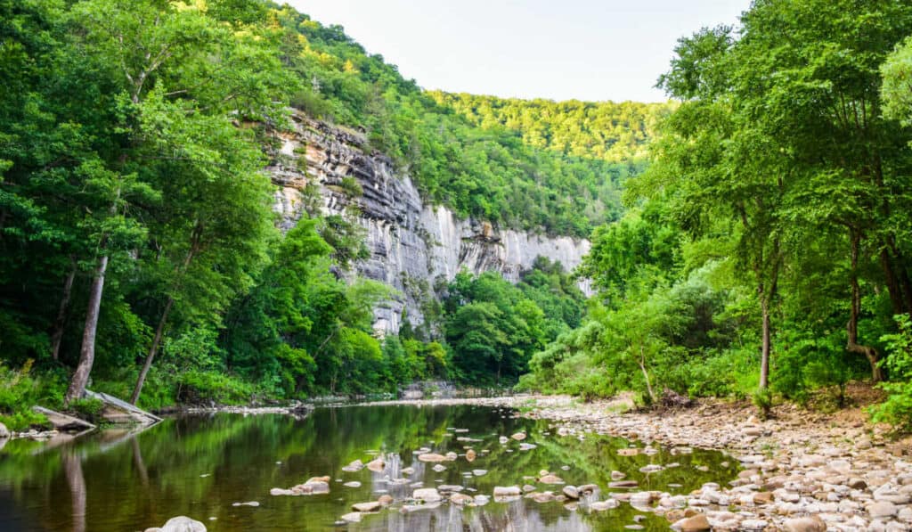 Exploring the Rivers of the Ozarks: A Detailed Guide - Into The Ozarks