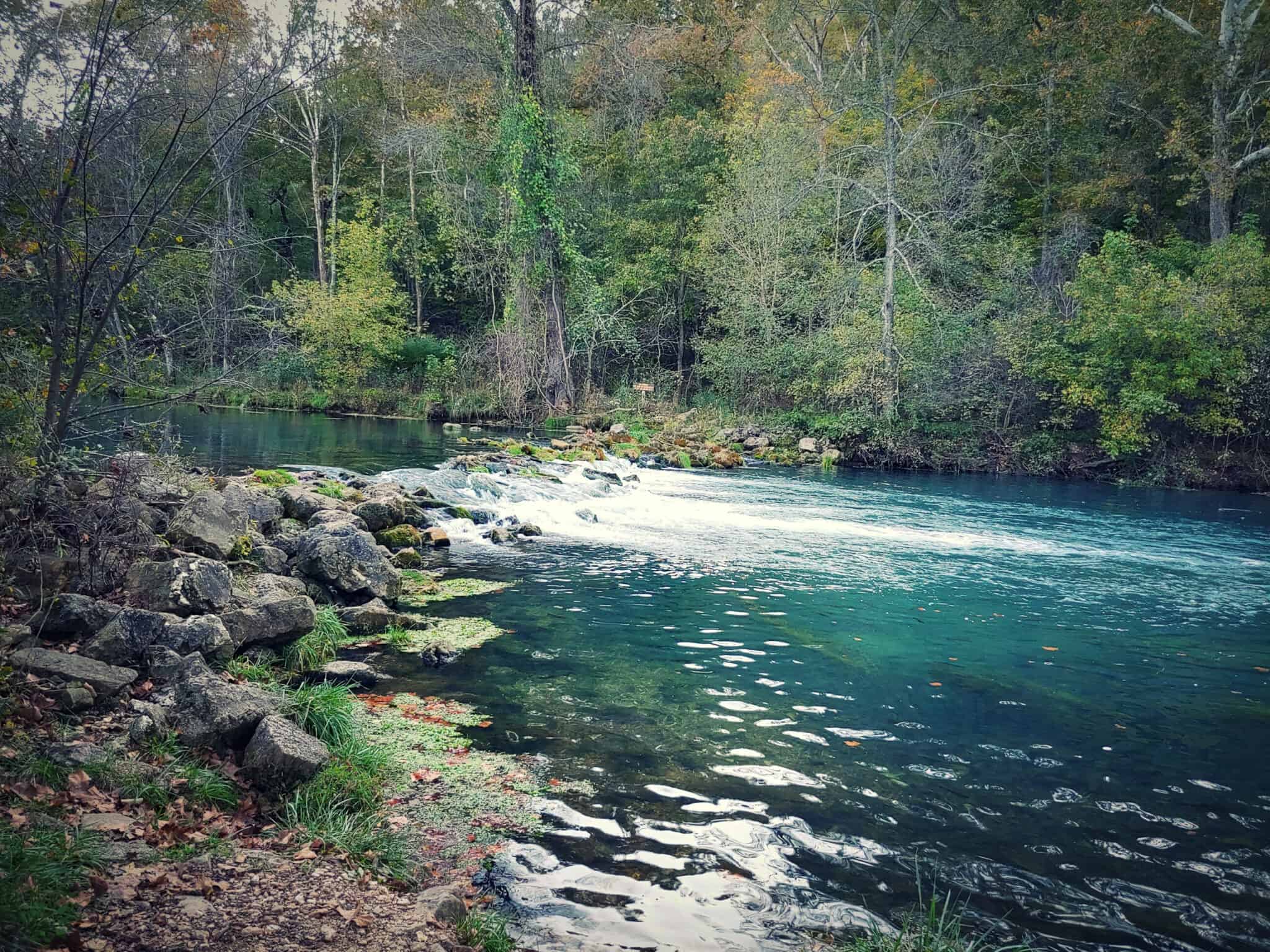 Your Guide To Bennett Springs State Park (Local Tips)