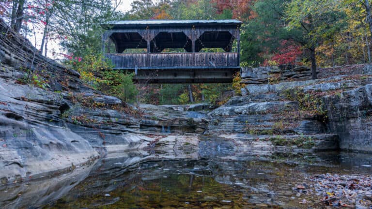 Green Forest, Arkansas - Cities Of The Ozarks (Visitor's Guide)