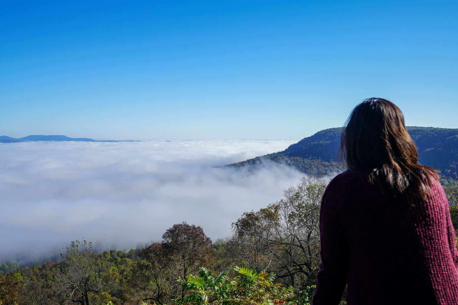 Things to Do in Jasper Arkansas (Besides The Grand Canyon)