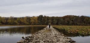 Visiting Lake Wapello - Your Guide To Iowa's Secret Gem