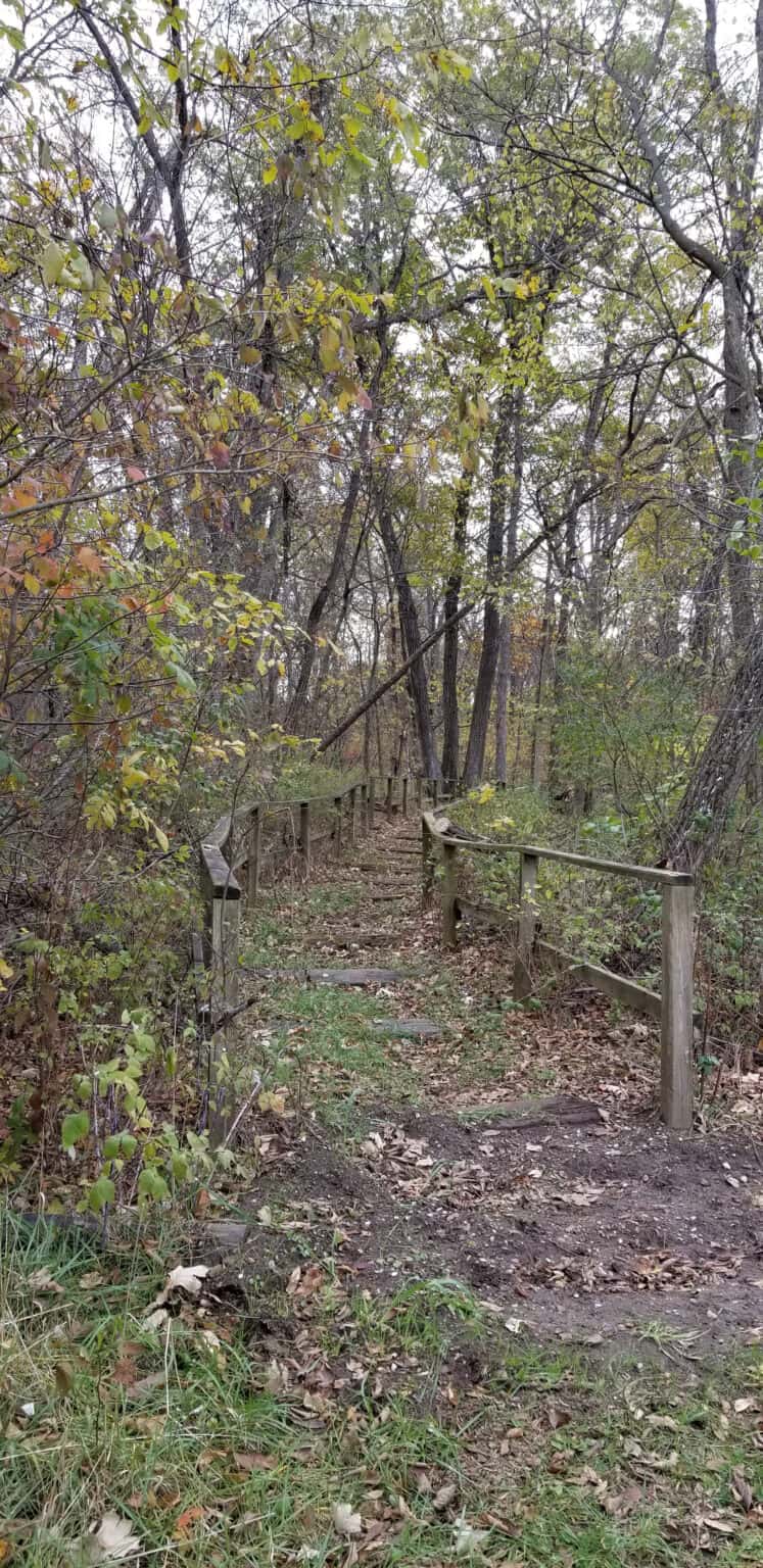 Visiting Lake Wapello - Your Guide To Iowa's Secret Gem