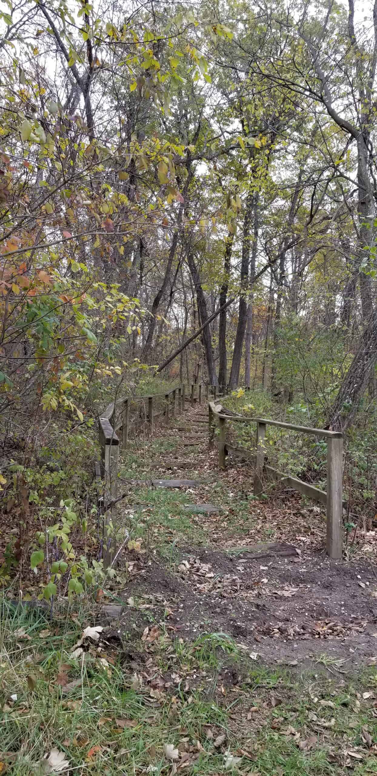 Visiting Lake Wapello - Your Guide To Iowa's Secret Gem