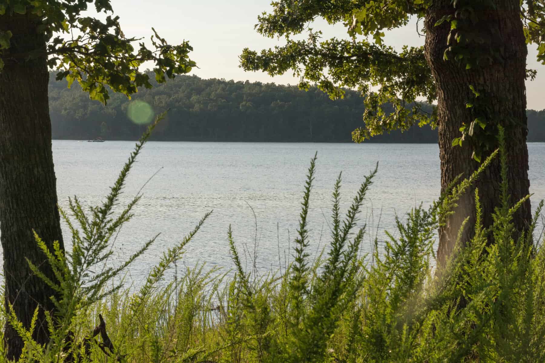Norfork Lake: Your Ultimate Guide to Fishing and Recreation