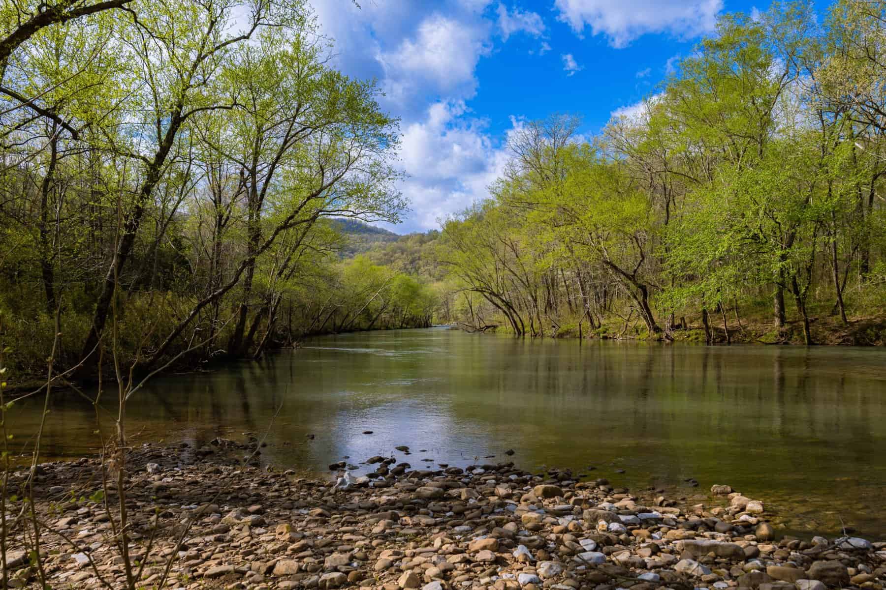 Buffalo National River Visitor's Guide (Must-Visit Spots)