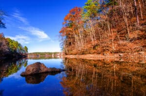 Lake Catherine State Park Visitor's Guide: Essential Tips