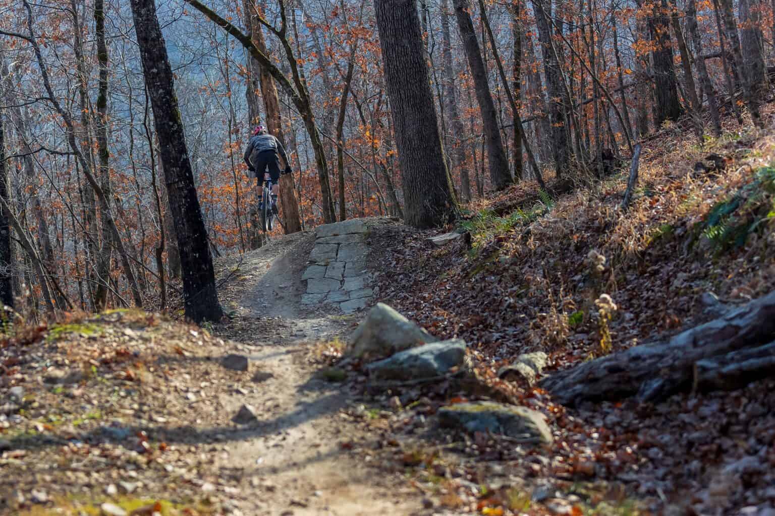 Mark Twain National Forest Visitor's Guide - Must-See Spots