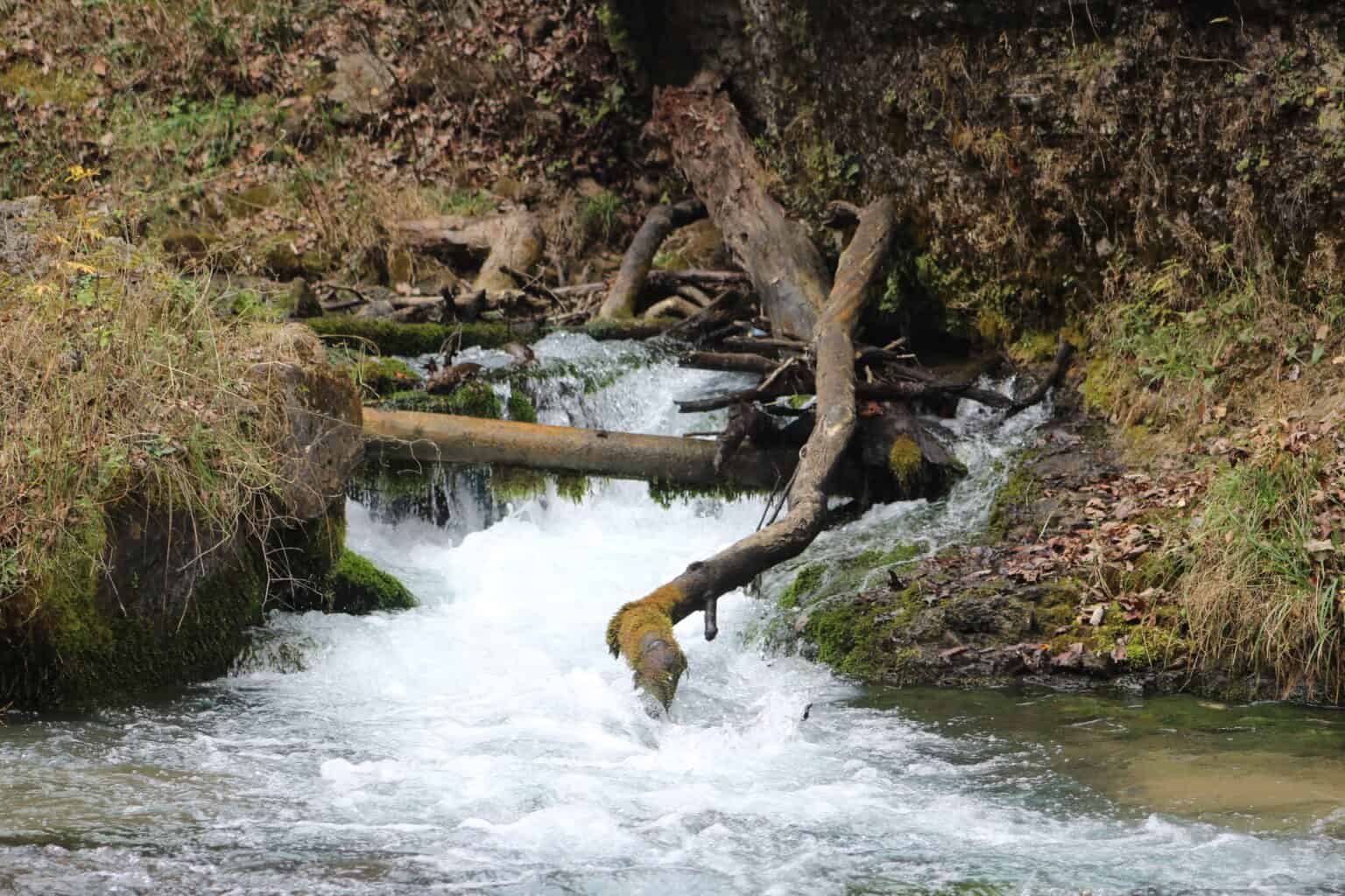Ozark National Scenic Riverways - A Complete Visitor's Guide