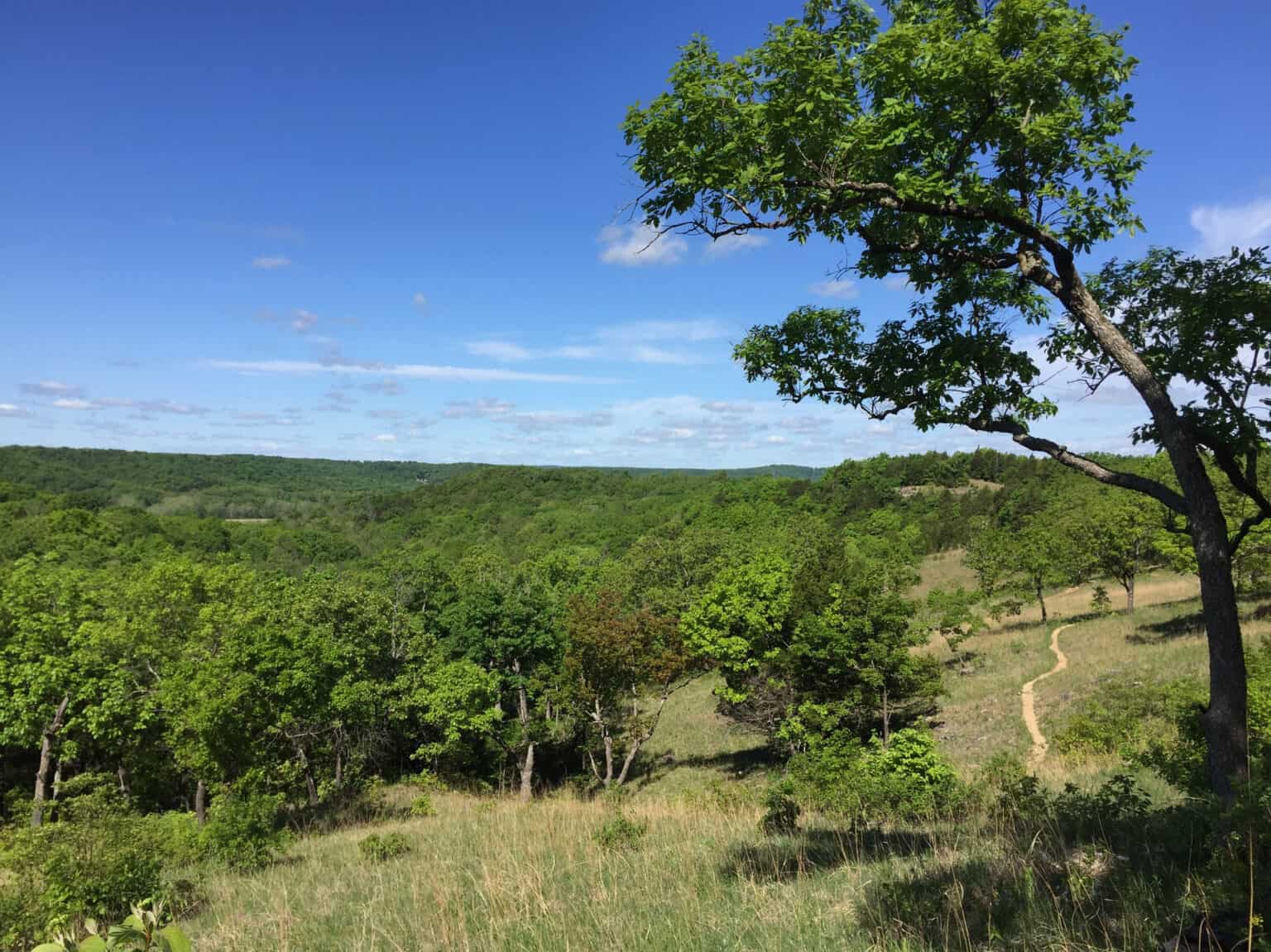 Mark Twain National Forest Visitor's Guide - Must-See Spots