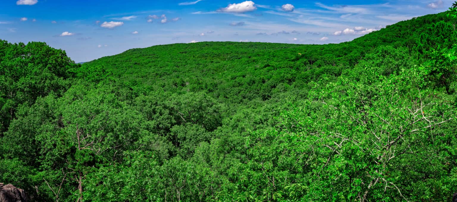 Ozark Mountain State Park Visitor's Guide (Top Spots To See)
