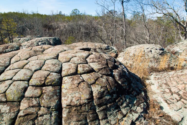 Ozark Mountain State Park Visitor's Guide (Top Spots To See)