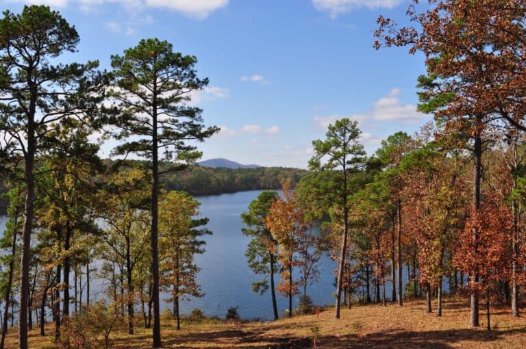 Visiting Arkansas' Lake Hamilton - Complete Guide